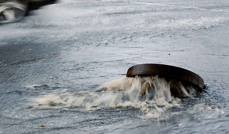 Drain Overflowing in Your Garden; Causes & Solutions
